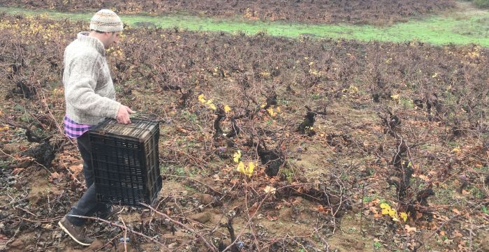 Louis-Antoine Luyt - Williams Corner