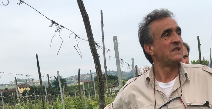 Giovanni Canonica - Williams Corner