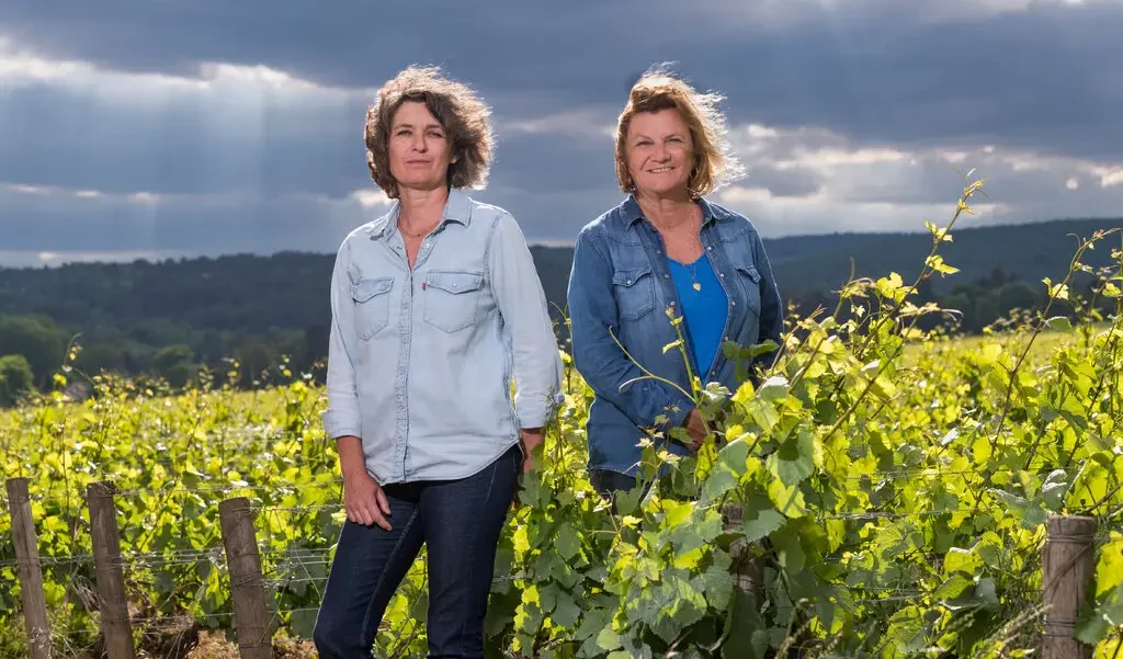 Louis Chenu Pere & Filles - Williams Corner