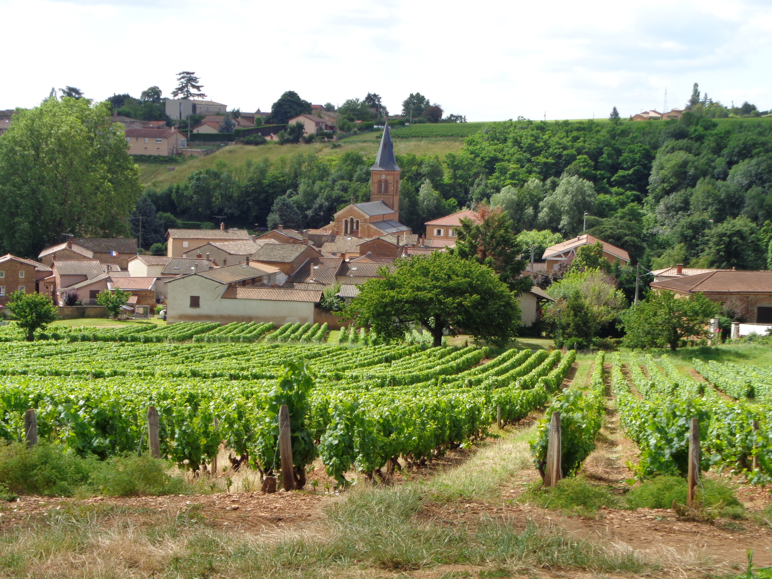 Jean-Baptiste Duperray - Williams Corner